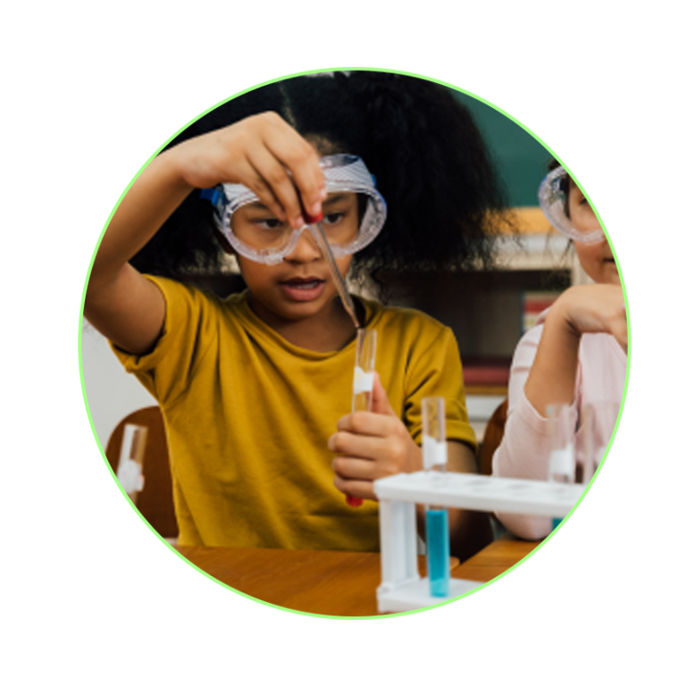 Building Blocks of Science 3D - K-5 Curriculum NGSS Program