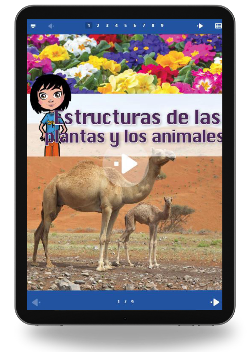 Spanish Resources - Building Blocks of Science 3D
