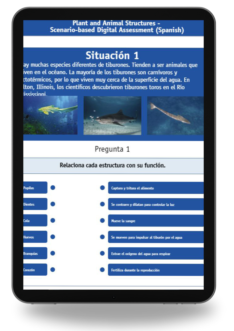 Spanish Resources - Building Blocks of Science 3D