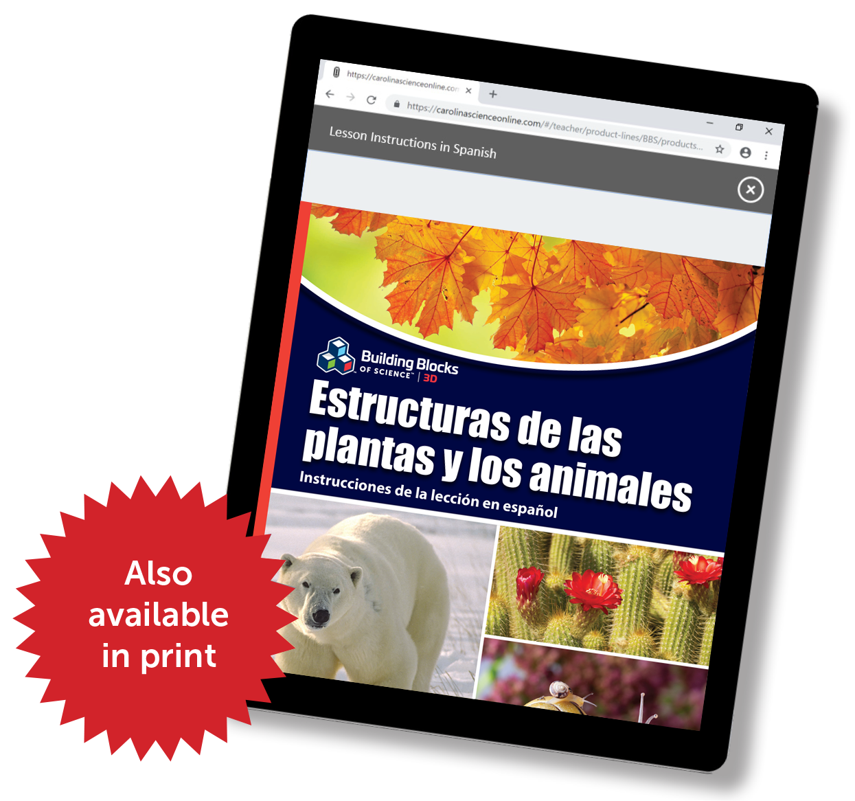 Spanish Resources - Building Blocks of Science 3D